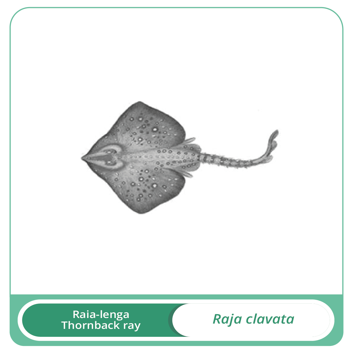 Vulnerabilidade ecológica - Clima Pesca